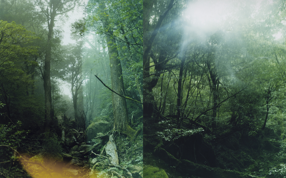 Tetsuo Kashiwada – photo-letter